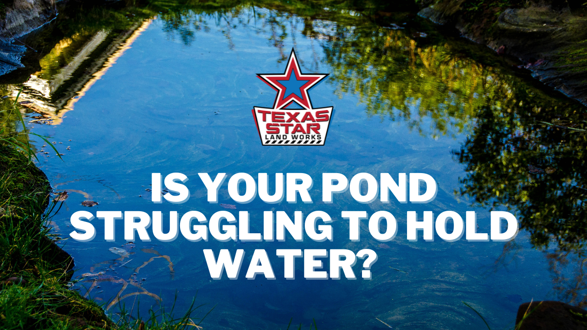 How to Spot Pond Leaks Fast | Texas Star Land Works